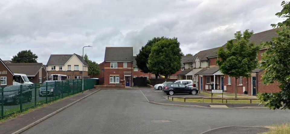 Man seriously injured in Wales dog attack by relative’s pet as armed ...