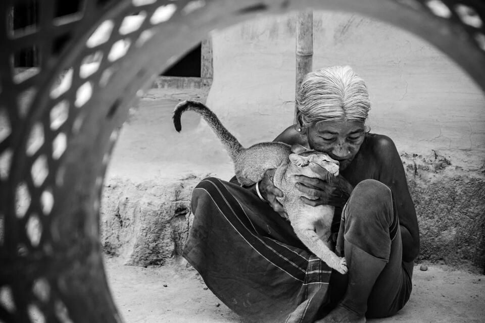 What It Means When Cats Create Daily Rituals Around You - NewsBreak