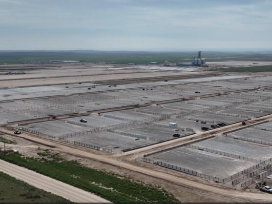 Largest cattle feedlot in Nebraska to begin taking feeders later this month