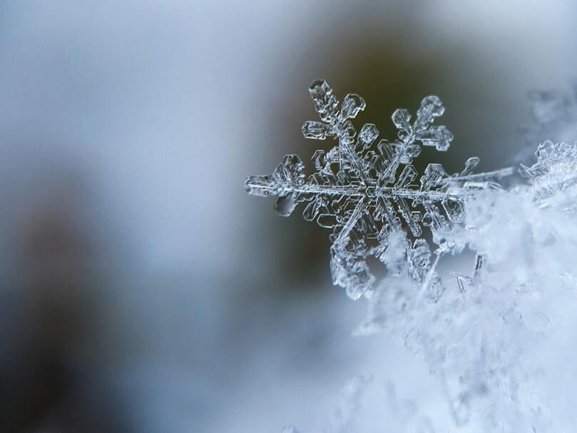 Blizzard Conditions Issued for Erie County, Pennsylvania Amid Powerful ...