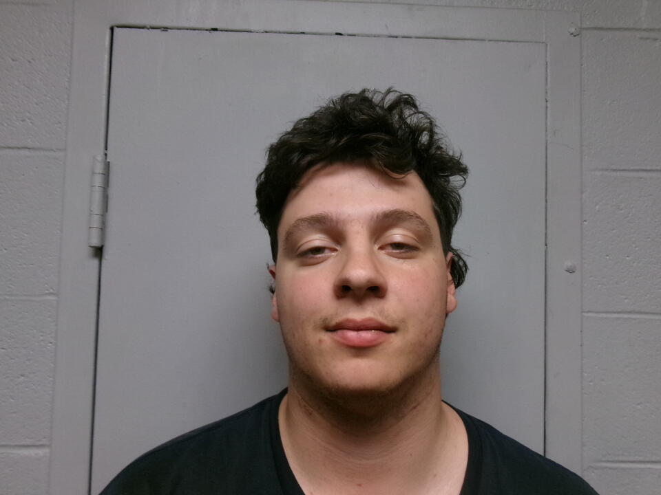 Pleasant View mother, son arrested on same night - NewsBreak