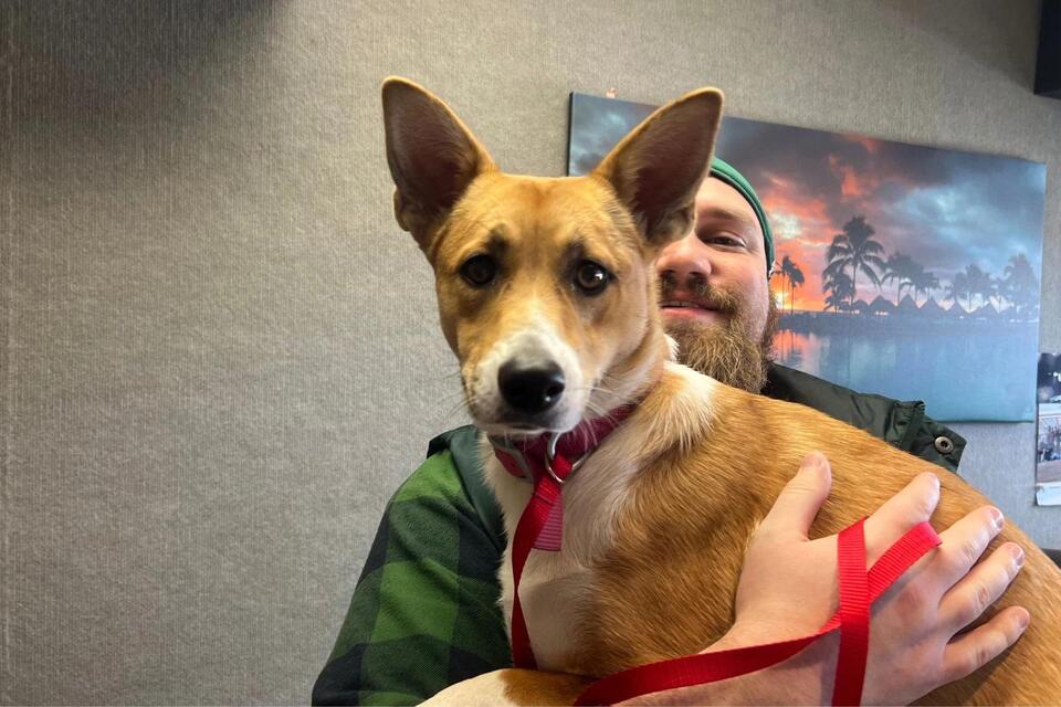 Stubby Legs, Sweet Spirit. ‘Vogue’ is Ready for Adoption in Billings ...