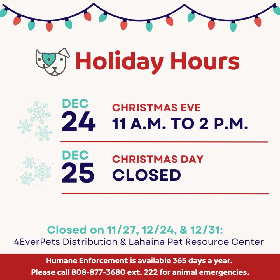 Maui Humane Society offers reduced pet adoption fees, posts holiday ...