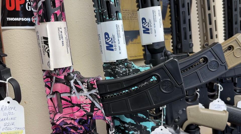 Polk Sheriff Grady Judd, gun shop owner weigh in on open carry - NewsBreak