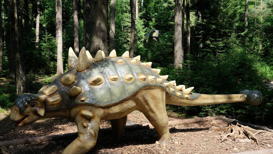 Why Do So Many Dinosaurs Have Spikes and Armor? The Evolutionary Arms ...
