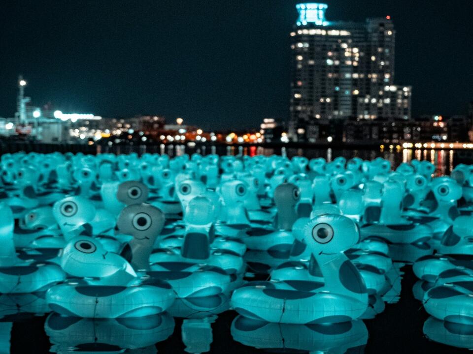 The Truth Behind Why People Are Hiding Rubber Ducks On Cruise Ships
