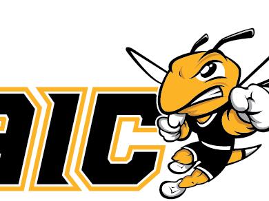 American International College Athletics Unveils New Athletics Brand ...