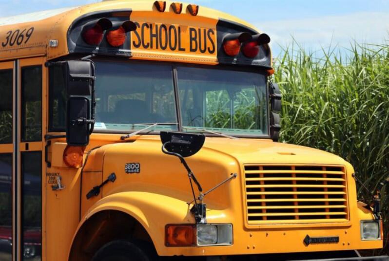 LSTA Announces Online Portal Open for Primary Student Registration ...