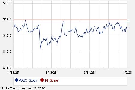First Week of PDBC February 20th Options Trading - NewsBreak