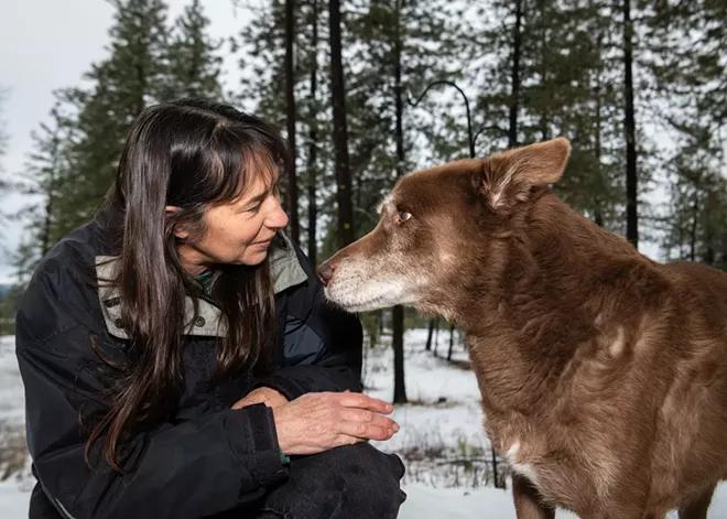 Spokane-area animal shelters are facing financial stress and systemic ...