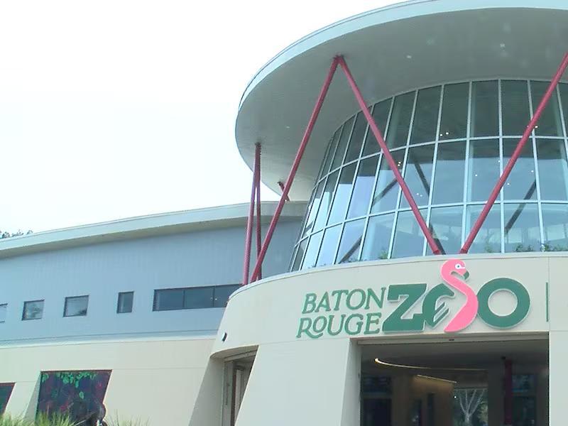 Baton Rouge Zoo’s new entrance is finally ready to welcome guests