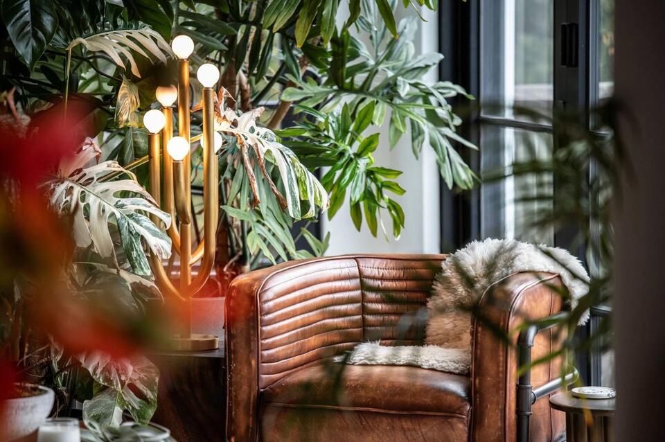 How to create a calming 'nature nook' with indoor plants. Advice from ...