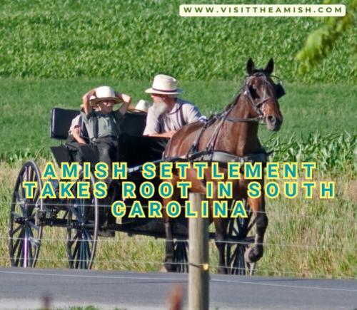 New Amish Settlement Takes Root in South Carolina’s Lowcountry - NewsBreak