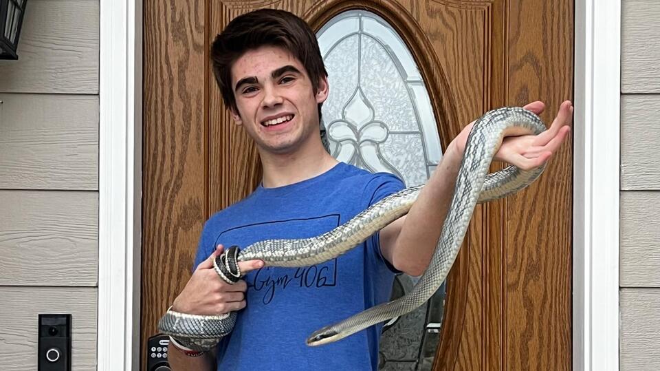 Class Act: Helena teenager Avery Hammond balances ninja classes, snake ...