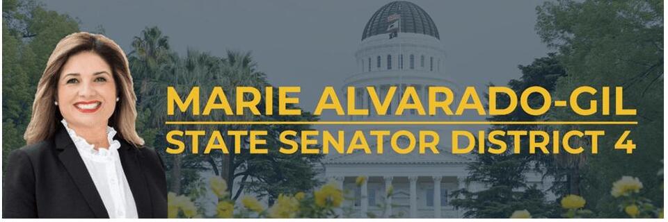 Sen. Alvarado-Gil Releases Statement Denouncing The Attack Of A Man In ...