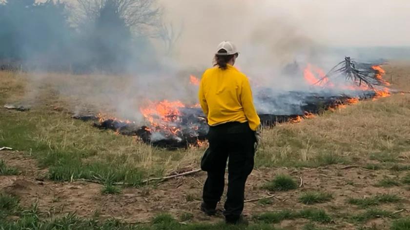 U.S. Forest Service fires workers involved in Helene recovery - NewsBreak