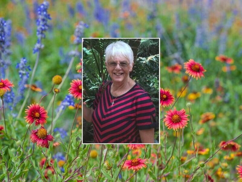 OBITUARY: Sharon B. Hedden - NewsBreak