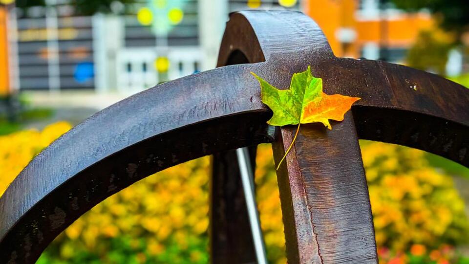 Top pictures from the 2025 Penn State Today fall photo contest - NewsBreak