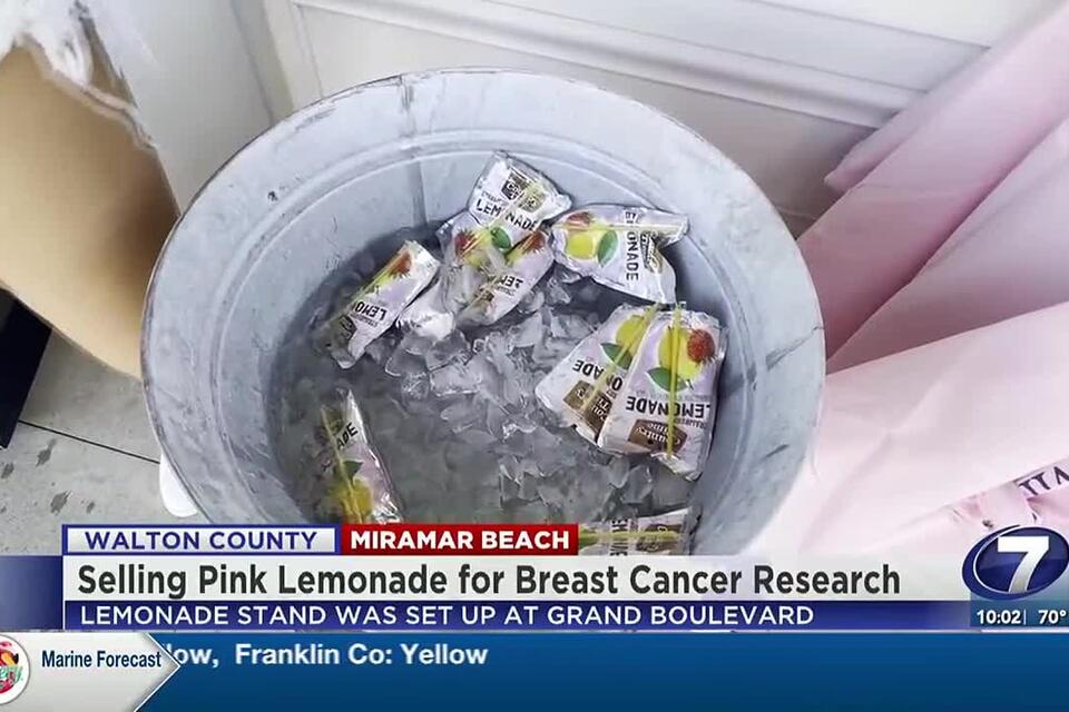 Raising money for breast cancer research through pink lemonade