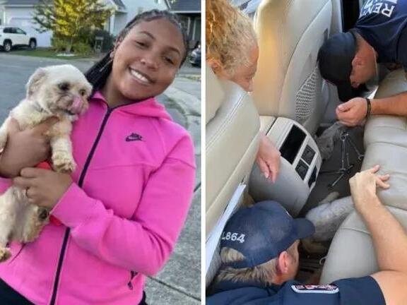 Renton firefighters rescue puppy stuck under back seat