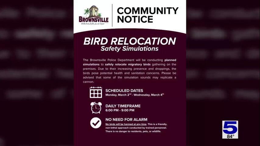 Brownsville Police Department to simulate cannon sound to relocate ...