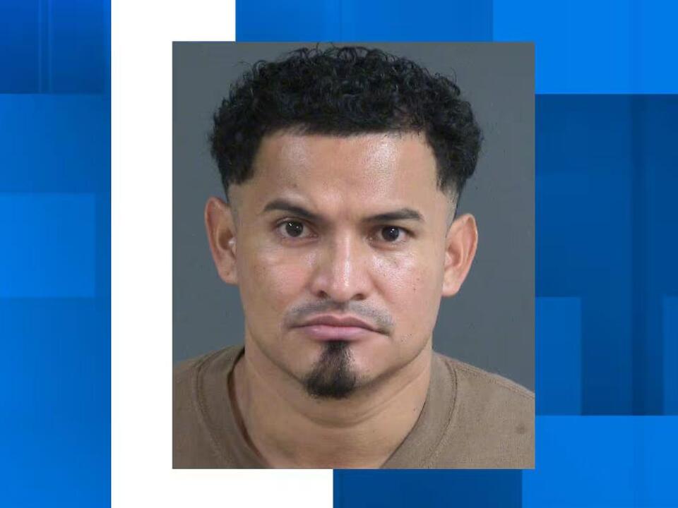 Prosecutors: Man in U.S. illegally sentenced in Charleston Co. felony ...
