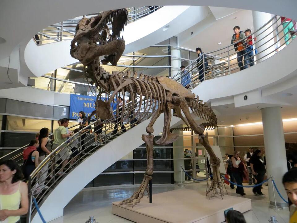 Tyrannosaurus Rex: Its Life Cycle Reveals More About Survival Than We ...