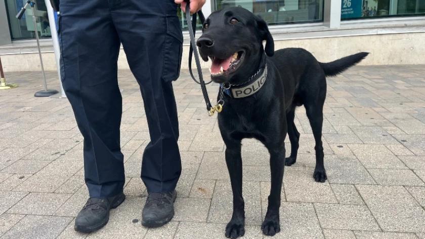 GVSU Police Department announces addition of explosives detection ...