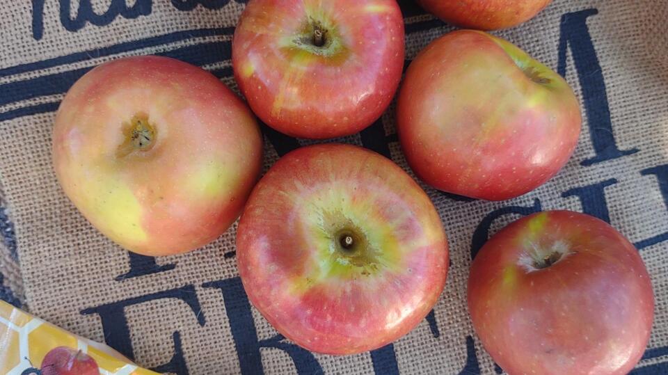 Sweeter Than Honeycrisp? What to Know About the Sugar Bee Apple - NewsBreak