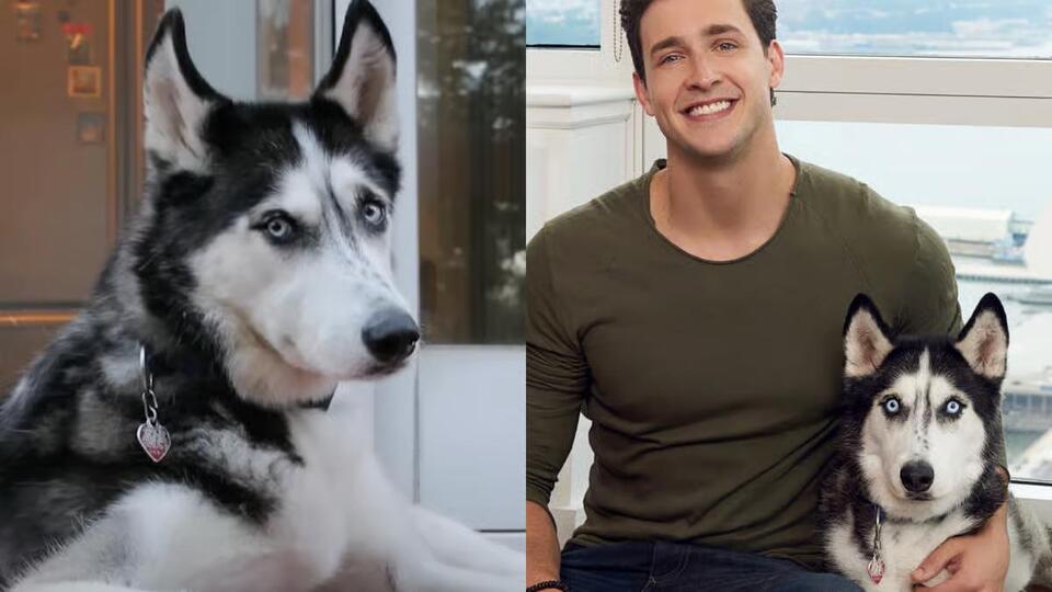 Doctor Mike announces death of his dog Roxy in emotional video - NewsBreak