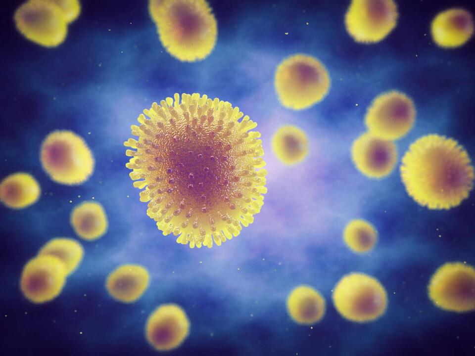 CDC Confirms Case of H5N1 Bird Flu in the United States, Noting Risk to ...