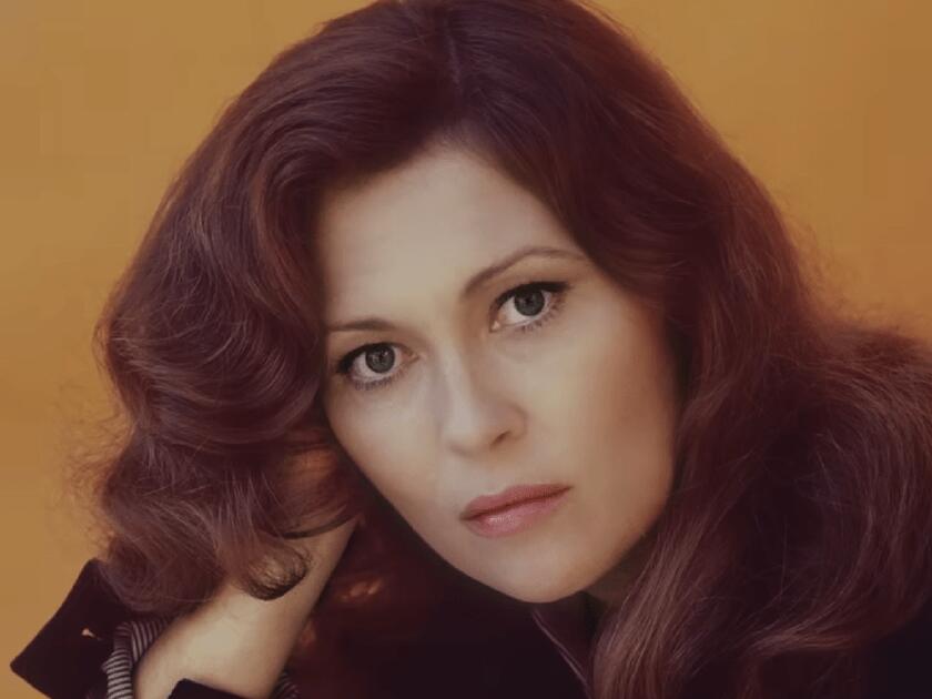 Faye Streaming Release Date: When Is It Coming Out On HBO Max?