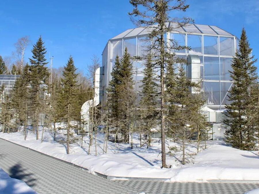 Warming Experiment Explores Consequences of Diminished Snow