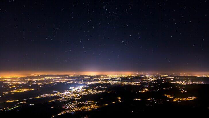 How Light Pollution Is Disorienting Nocturnal Wildlife - NewsBreak