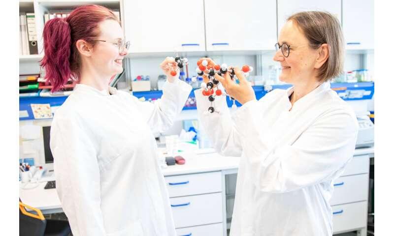 How a sugar building block influences viral attachment - NewsBreak