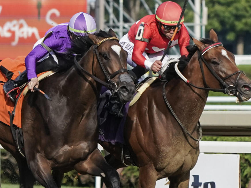 Saratoga Exacta Picks & Plays | Travers Stakes 2024 Saratoga Exacta Picks & Plays | Travers Stakes 2024