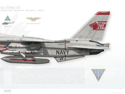 How Iran saved Grumman and the F-14 program and the story of the ...