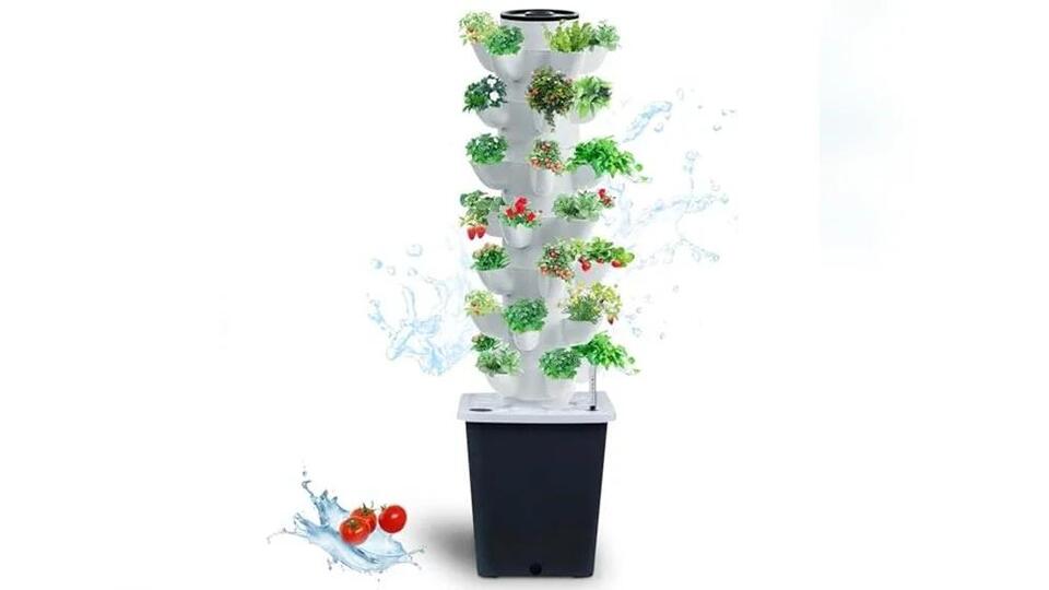 Best Plants for Hydroponic Tower Gardening 2026 Guide - NewsBreak