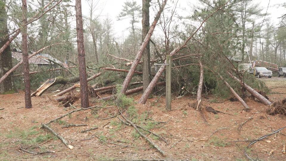 Tornado strikes Hatfield, damages trees and power lines - NewsBreak