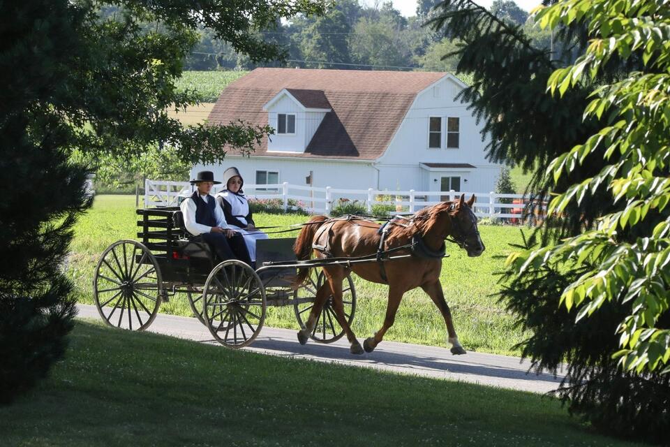 11 Myths About Amish Life in Michigan Revealed - NewsBreak