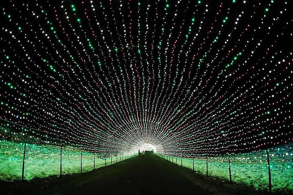 Holiday Attraction Lights Up Minnesota-Wisconsin Border with Millions ...
