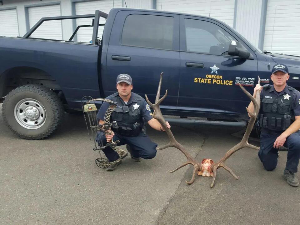 Police in Roseburg seek person responsible for unlawful buck deer ...