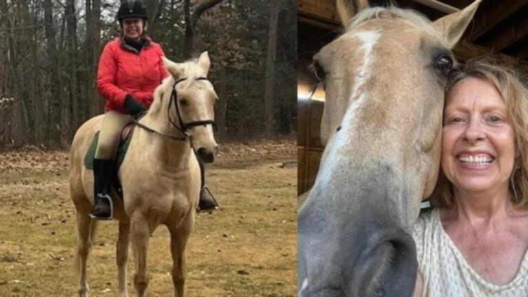 Hamilton town official severely injured, horse killed after biker ...