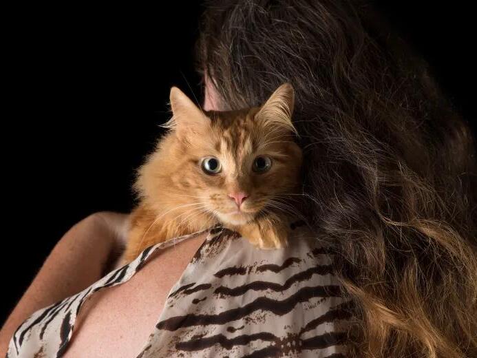 Tucker nonprofit Ahimsa House helps people and pets escape violence