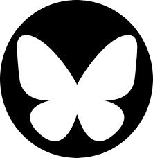 Review of Fast Cheetah, Slow Tortoise: Poems of Animal Opposites ...