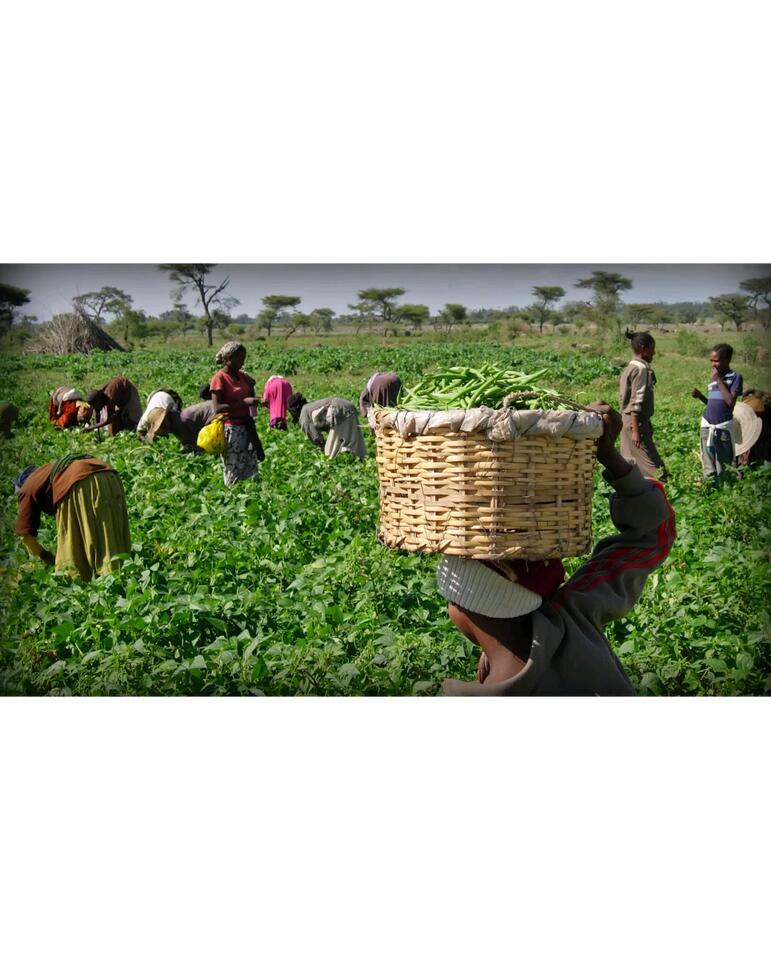 Foreign Aid and Remittance - Crash Course Economics 34_part_4 - NewsBreak