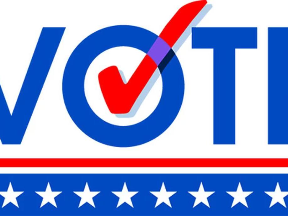 We must protect confidence in our elections and our right to vote ...