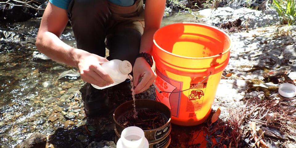 Miossi Charitable Trust Funds Second Year of Creek Health Monitoring in ...