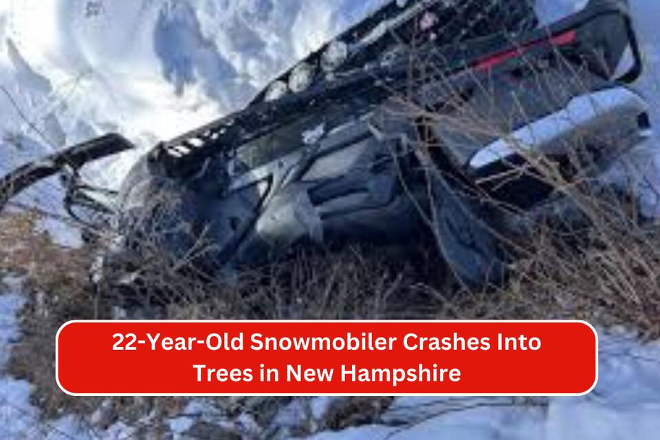 22-Year-Old Snowmobiler Crashes Into Trees in New Hampshire - NewsBreak