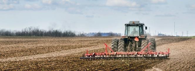 Farm Family of the Year - NewsBreak